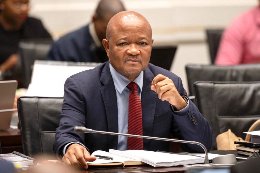 Suspended Police Minister Senzo Mchunu answers for his allegations ...